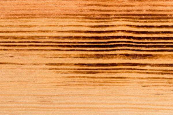 Texture of pine wood — Stock Photo © homydesign #9688163