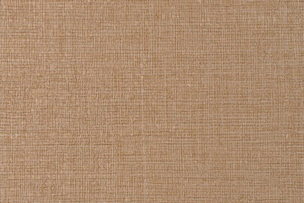 Cream texture canvas fabric — Stock Photo © homydesign #5558279