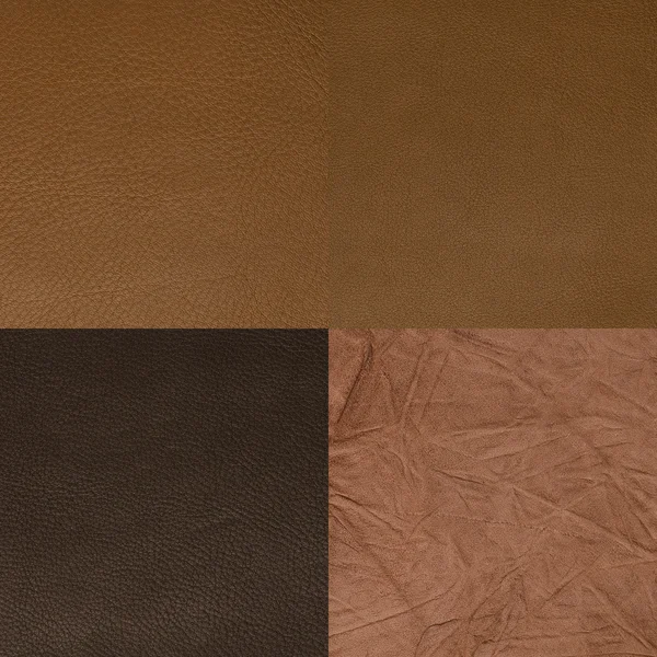 Leather swatches Stock Photos, Royalty Free Leather swatches Images ...