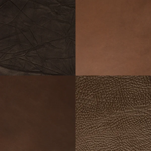 Leather swatches Stock Photos, Royalty Free Leather swatches Images ...