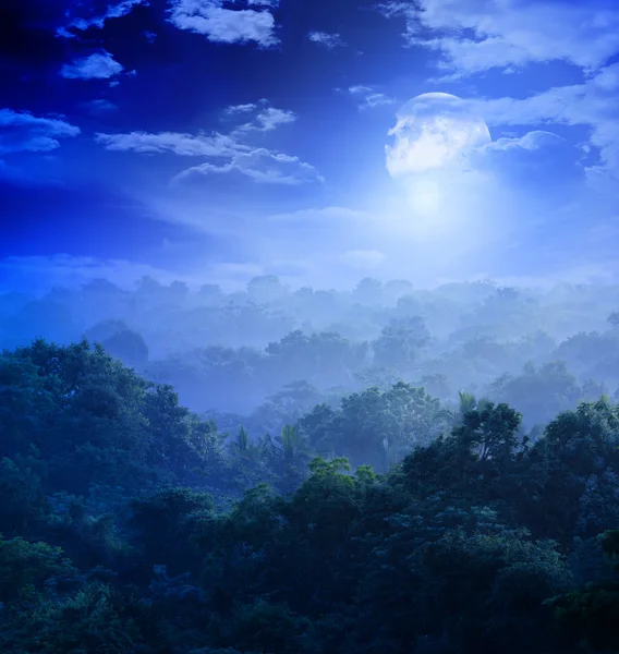 Moonlight in the jungle Stock Photos, Royalty Free Moonlight in the ...