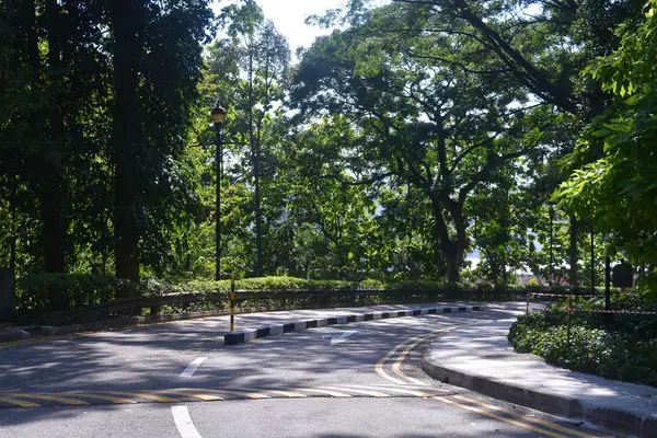 Park road Stock Photos, Royalty Free Park road Images | Depositphotos