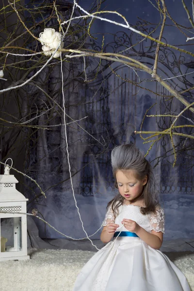 Snow Princess - Stock Image - Everypixel