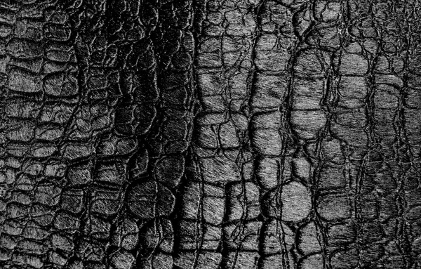 Muscle texture Stock Photos, Royalty Free Muscle texture Images ...