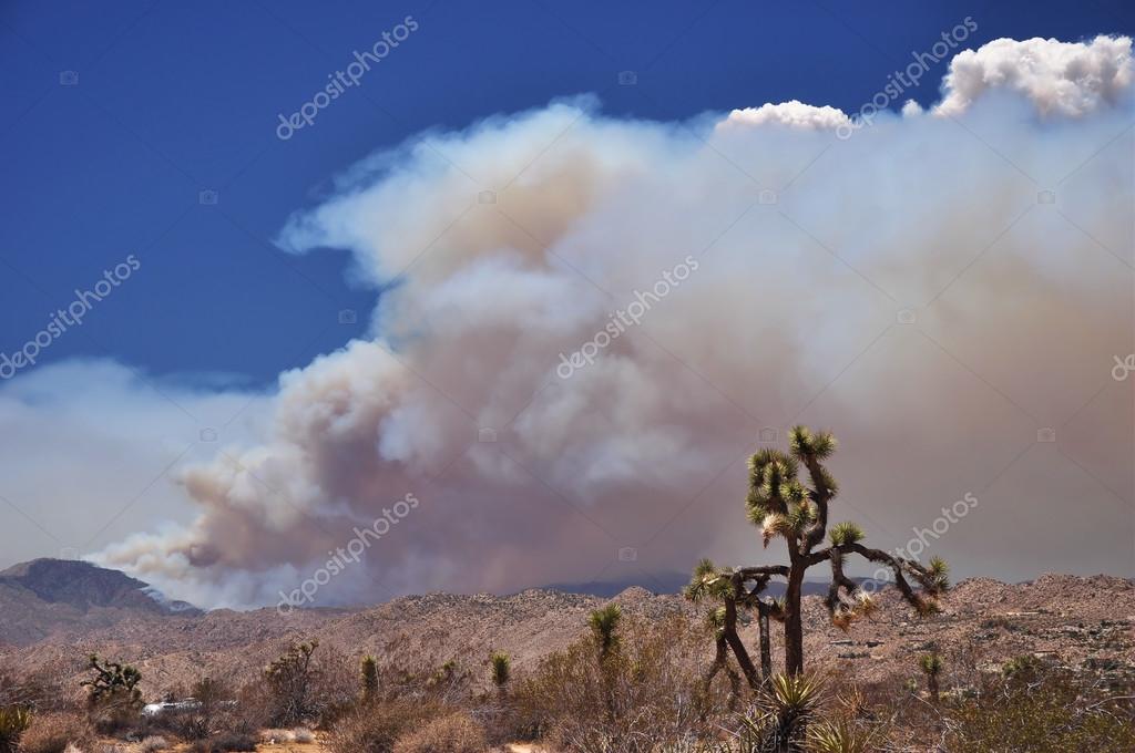 Fire in the desert — Stock Photo © PJ1960 #123539634