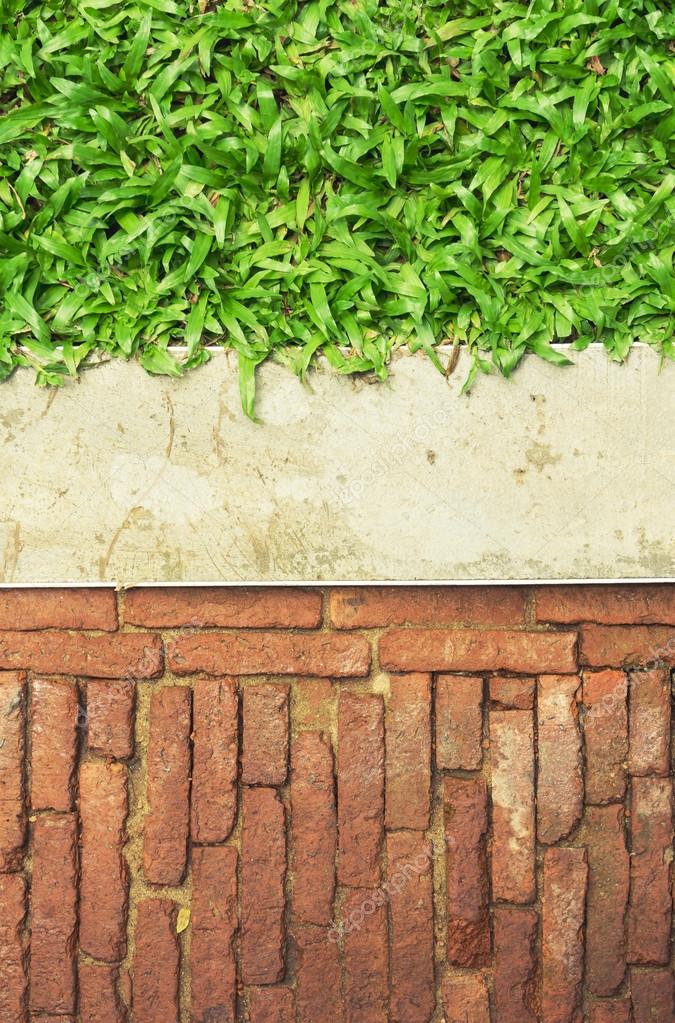 Top view contrast cement walk path and grass land background texture ...
