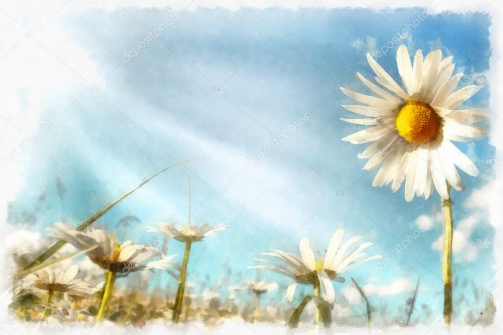 Spring daisy flower field vintage Stock Photo by ©artush 70890899