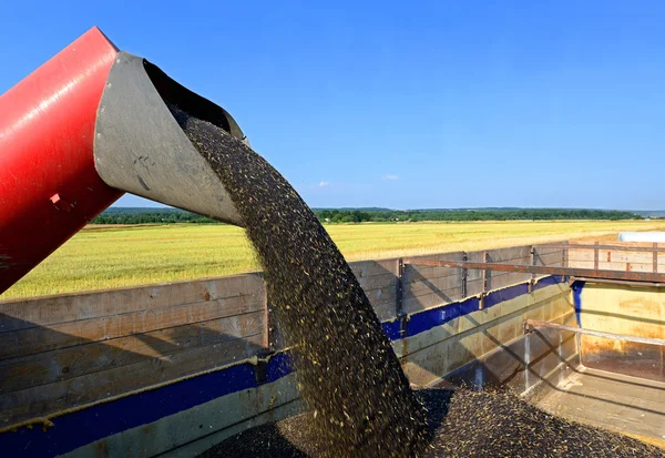 Crop production Stock Photos, Royalty Free Crop production Images ...