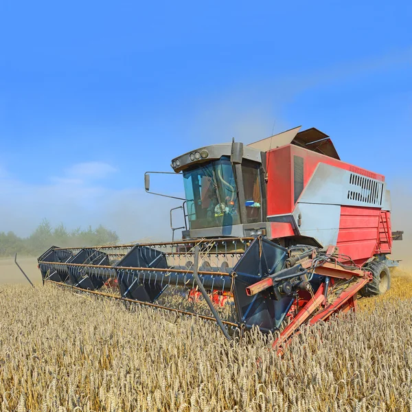 . Grain harvesting combine in a rural landscape. Stock Photo by ...