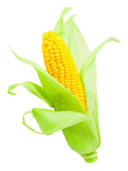 Ear Corn Isolated White Background — Stock Photo © alex_skp #494882394