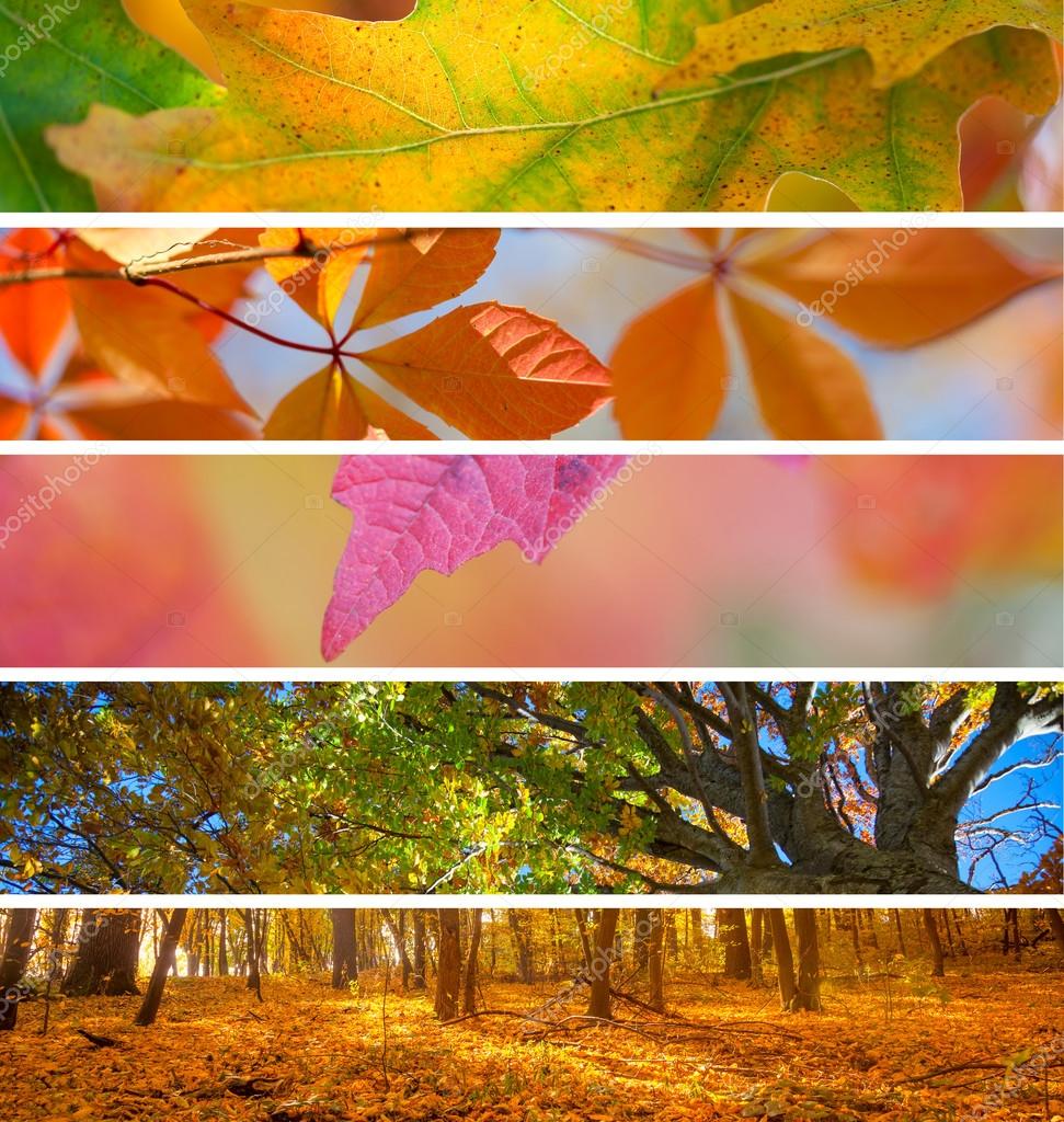 Collection of Autumn Banners - fall season abstract background Stock ...