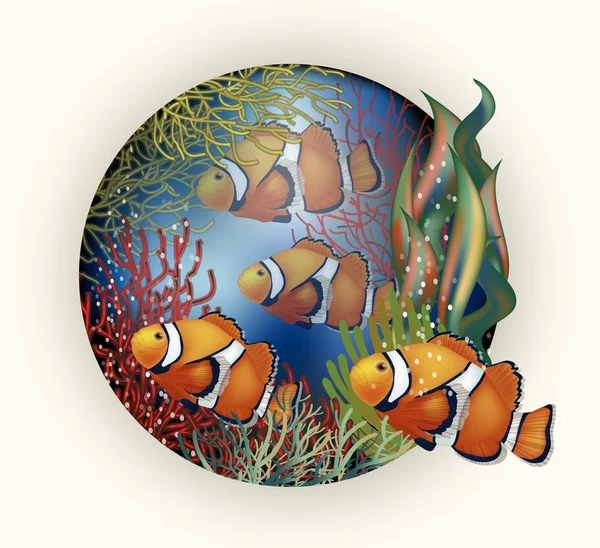 100,000 Clown fish Vector Images | Depositphotos