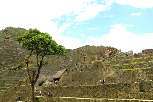 Peru pyramid Stock Photos, Royalty Free Peru pyramid Images | Depositphotos