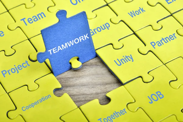 Teamwork puzzle — Stock Photo © fuzzbones #6241251