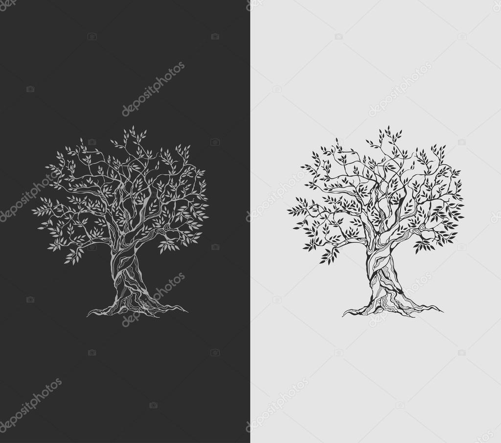Olive tree on vintage paper Stock Vector by ©cookamoto 74256467