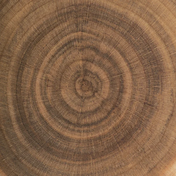 End grain wood rings — Stock Photo © tuja66 #125133098 End grain wood rings — Stock Photo © tuja66 #125133098
