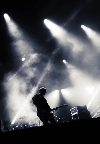 Concert Stock Photos, Royalty Free Concert Images | Depositphotos