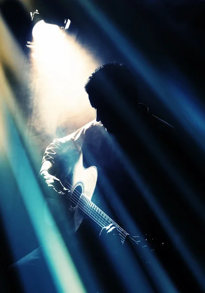 Guitarist - Stock Image - Everypixel