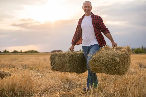 Working farmer man with straw bales - Stock Image - Everypixel