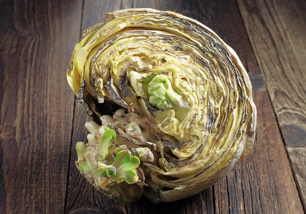 Podrido fotos de stock, imágenes de Podrido sin royalties | Depositphotos