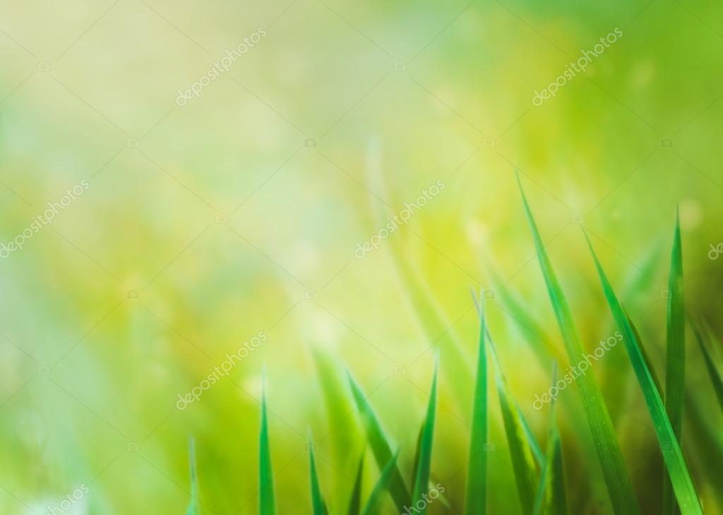 Grass spring background Stock Photo by ©mythja 111444636