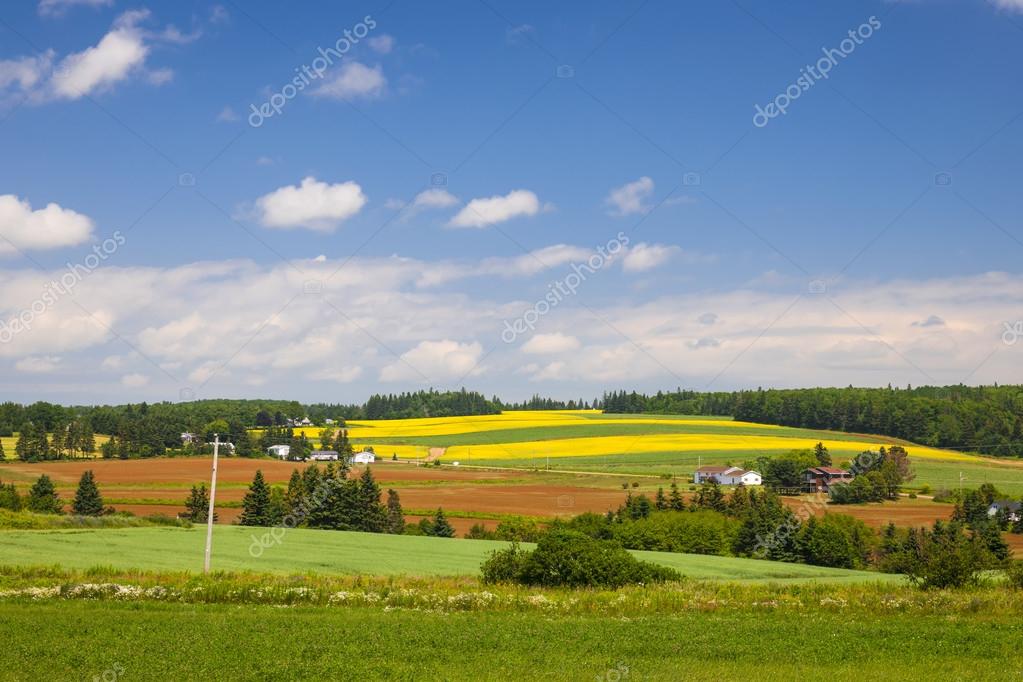 Paisagem rural, Canadá . fotos, imagens de © elenathewise #64344483