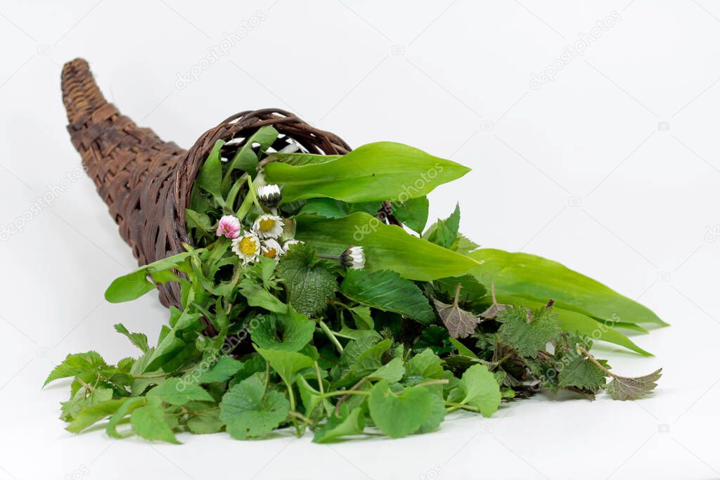 hierbas silvestres en la cornucopia 2023