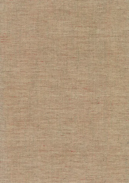 Pure linen painting canvas texture — Stock Photo © brankavv #3107231