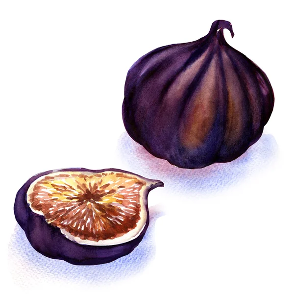 Watercolor painting on white background Stock Photo by ©deslns 12047958