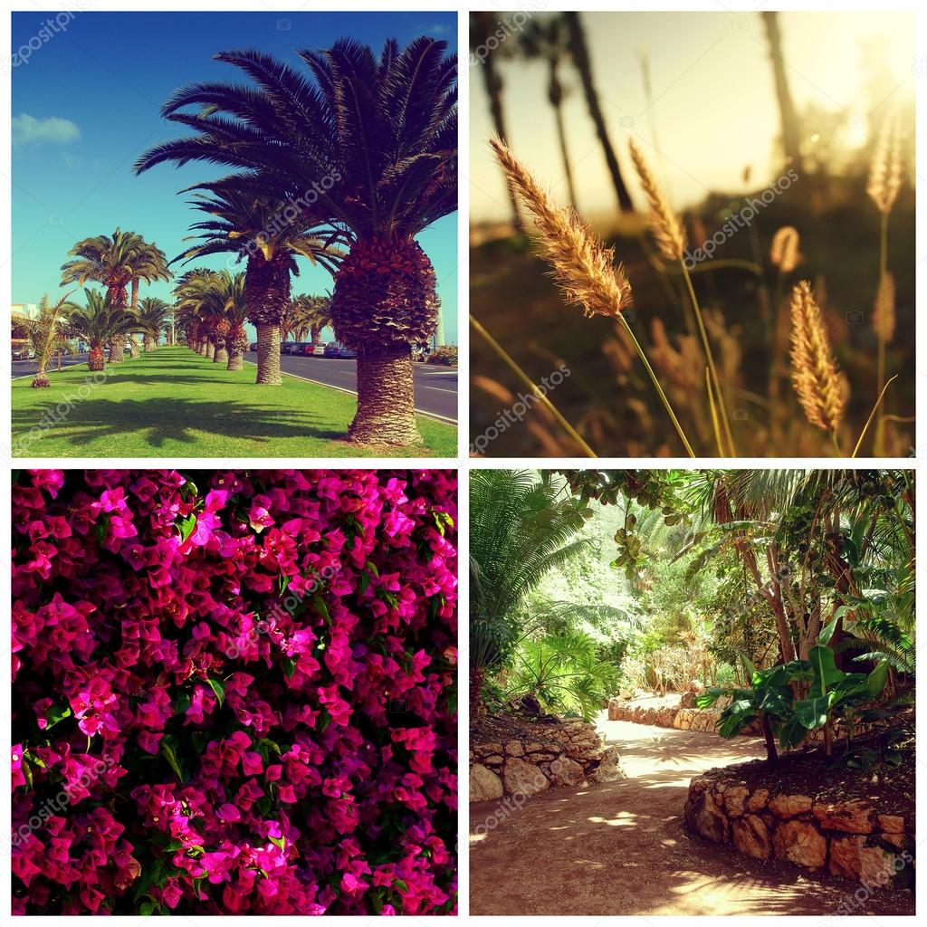 Summer collage — Stock Photo © Dmitry_Tsvetkov #52814623