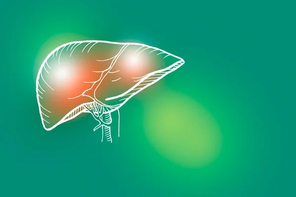 Liver infographic Stock Photos, Royalty Free Liver infographic Images ...