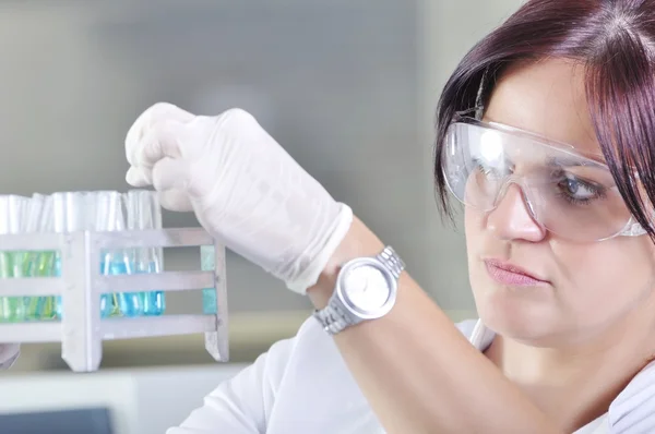 Attractive young PhD student scientist observing the blue indica Stock ...
