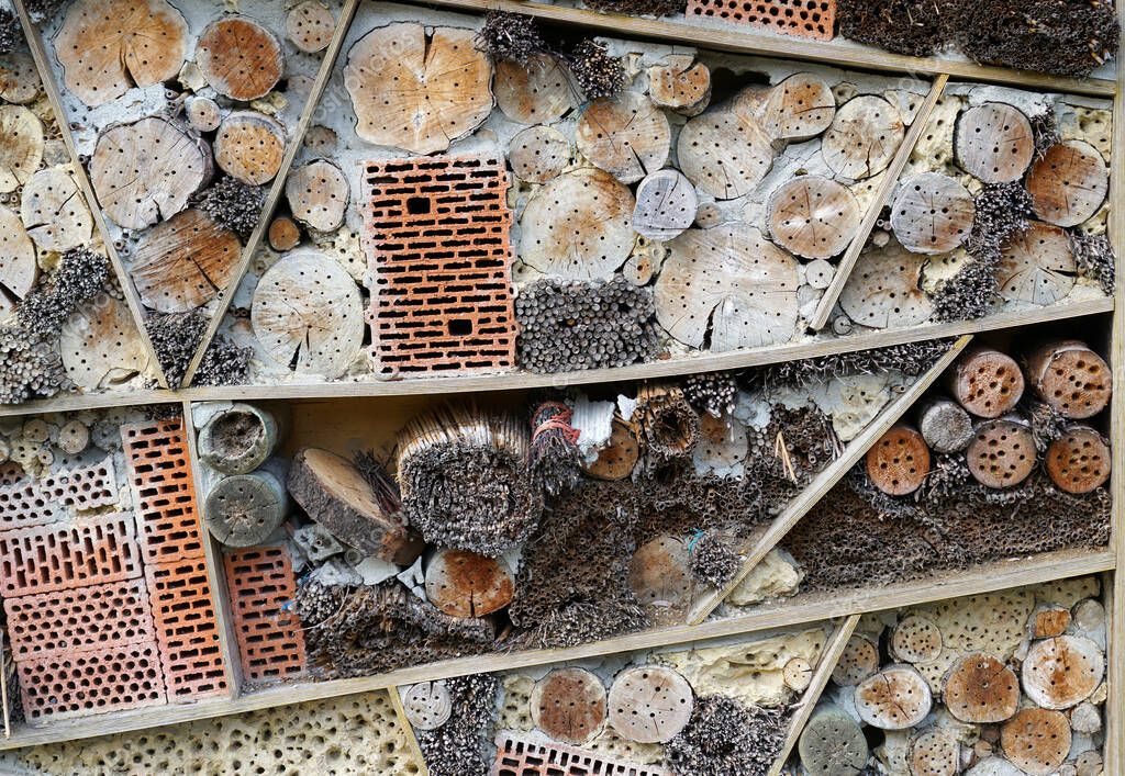 Un hotel de insectos se puede hacer fácilmente a partir de una variedad ...