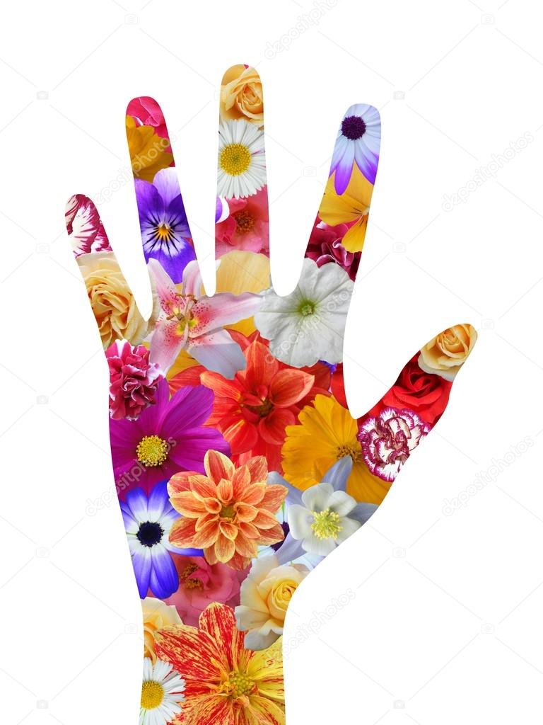 Flower hand Stock Photo by ©darrenw 70187867