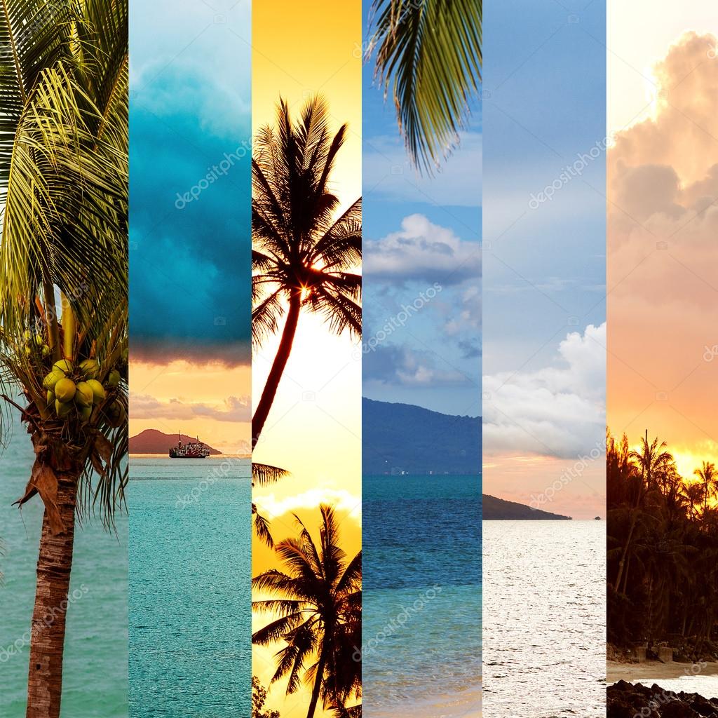 Sea and palm trees, collage, Koh Samui, Thailand Stock Photo by ...