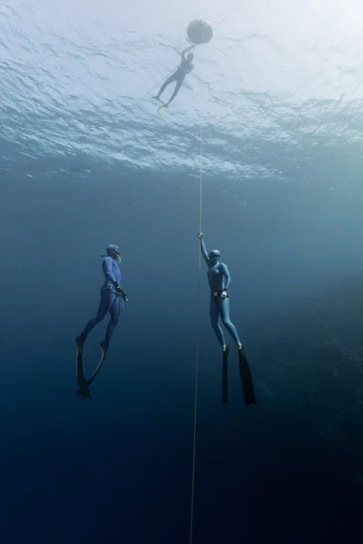 Free diving Stock Photos, Royalty Free Free diving Images | Depositphotos