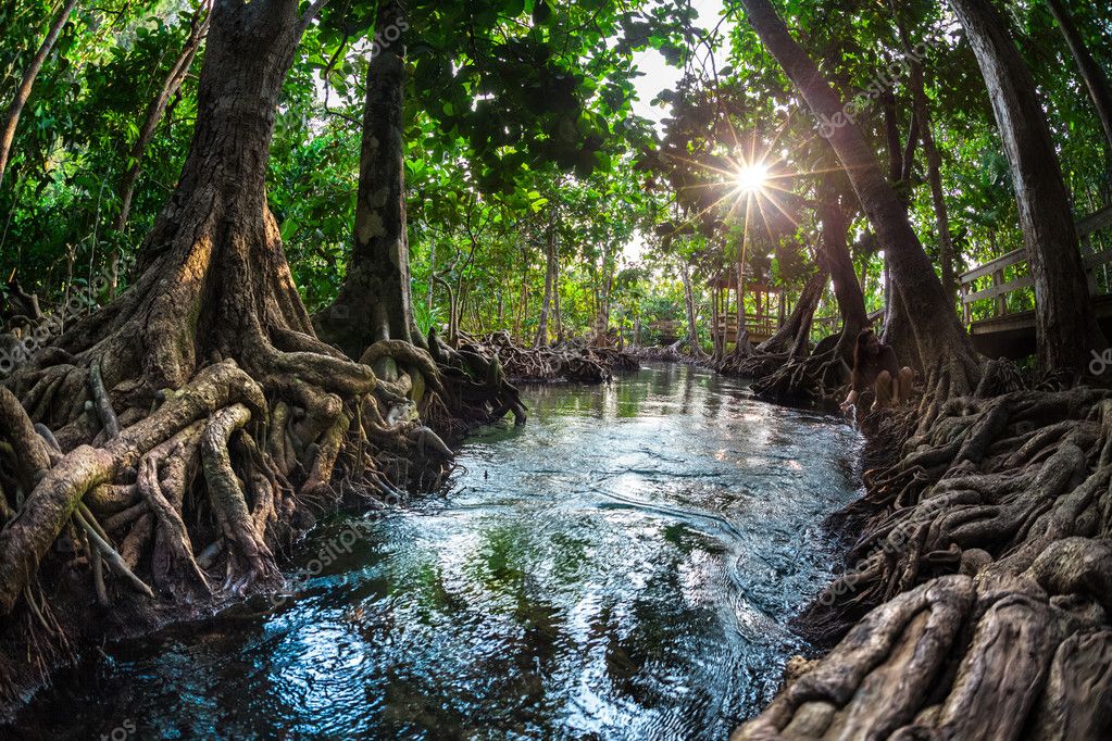 Big trees on the river Stock Photo by ©mihtiander 109160208
