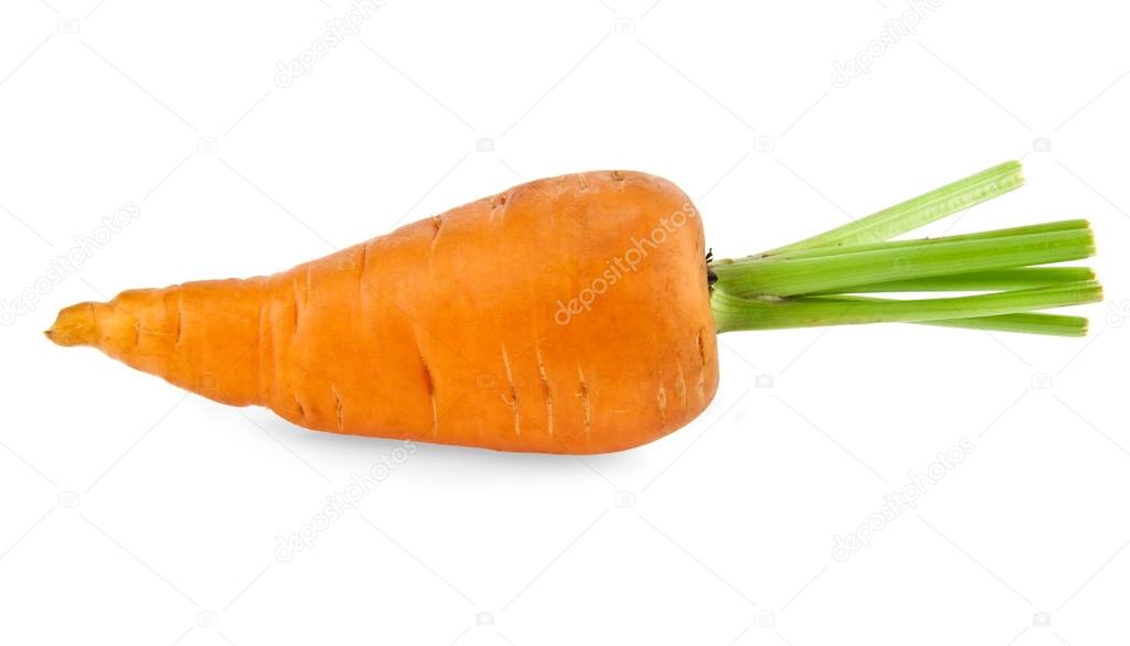 jedna mrkev — Stock Fotografie © valzan #58345751