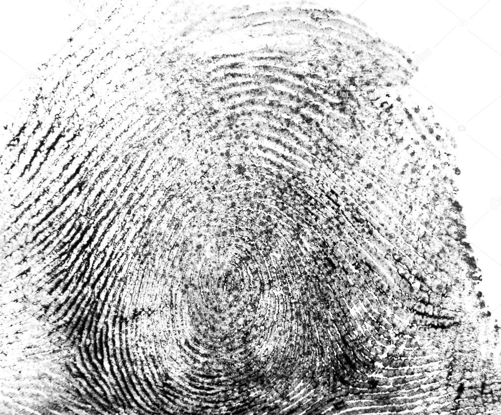 Fingerprint closeup texture Stock Photo by ©valzan 95870234