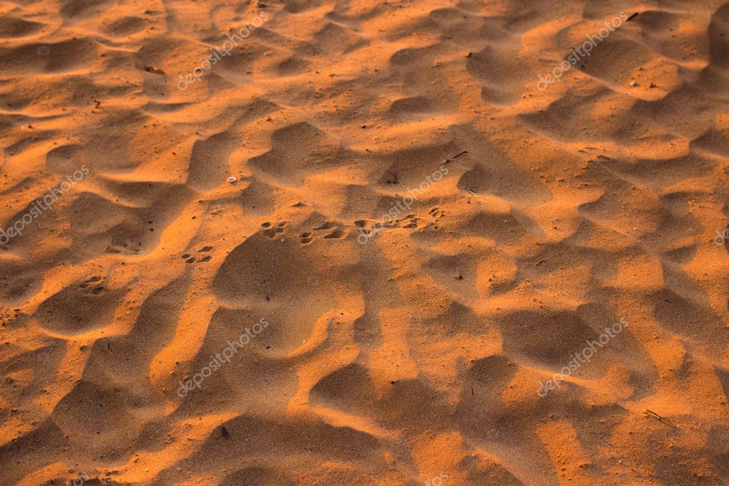 Desert sand pattern texture Stock Photo by ©Supertrooper 79344950
