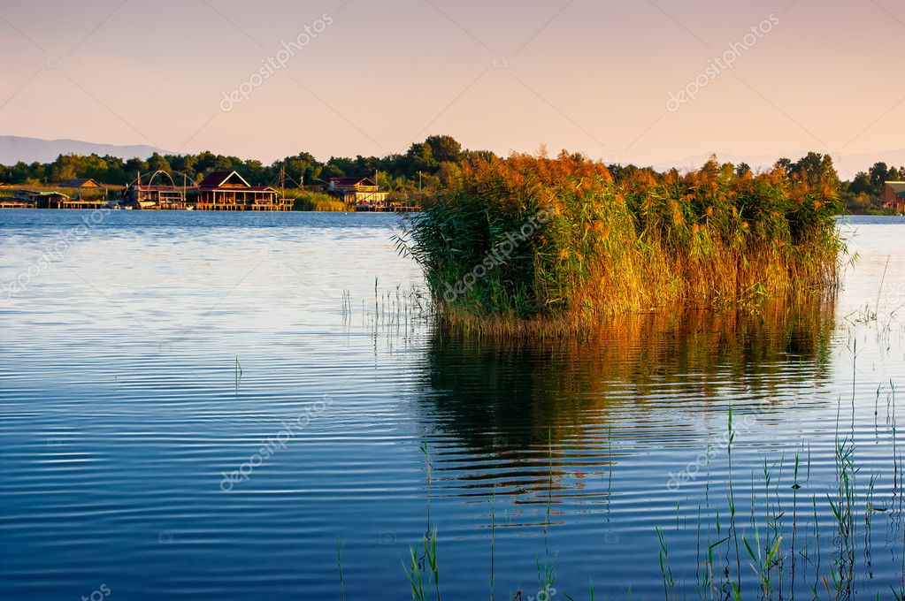 The river Bojana. — Stock Photo © zbynek #88534240