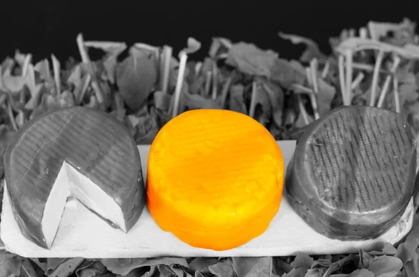 Very nice delicate presentation of three different flavored cheeses ...