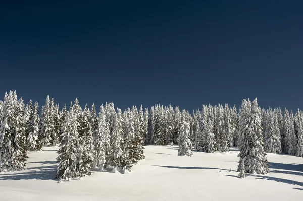 Yule pass Stock Photos, Royalty Free Yule pass Images | Depositphotos