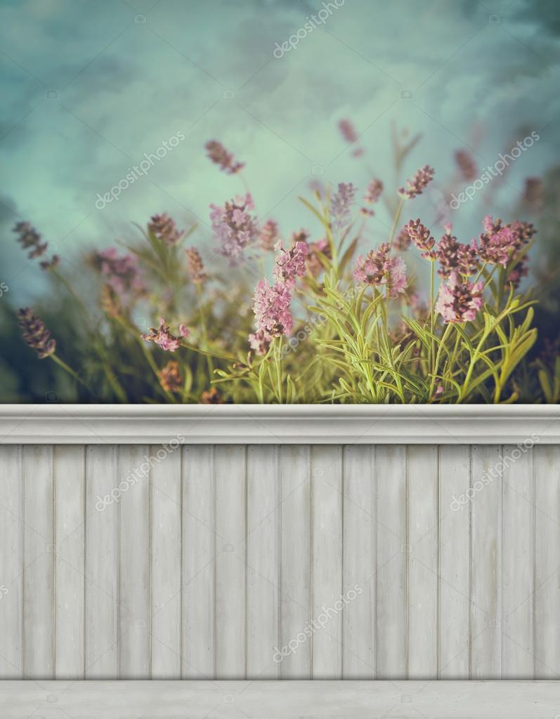 Spring wall background — Stock Photo © Sandralise #66086303