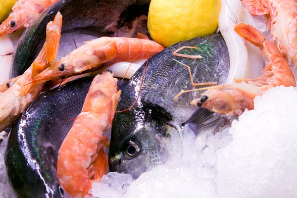 Frozen seafood Images - Search Images on Everypixel