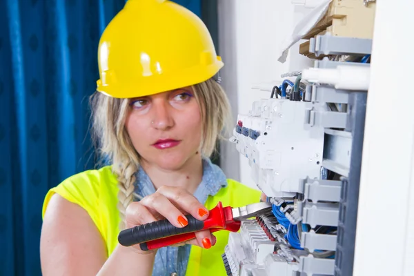 Électricien femelle images libres de droit, photos de Électricien ...