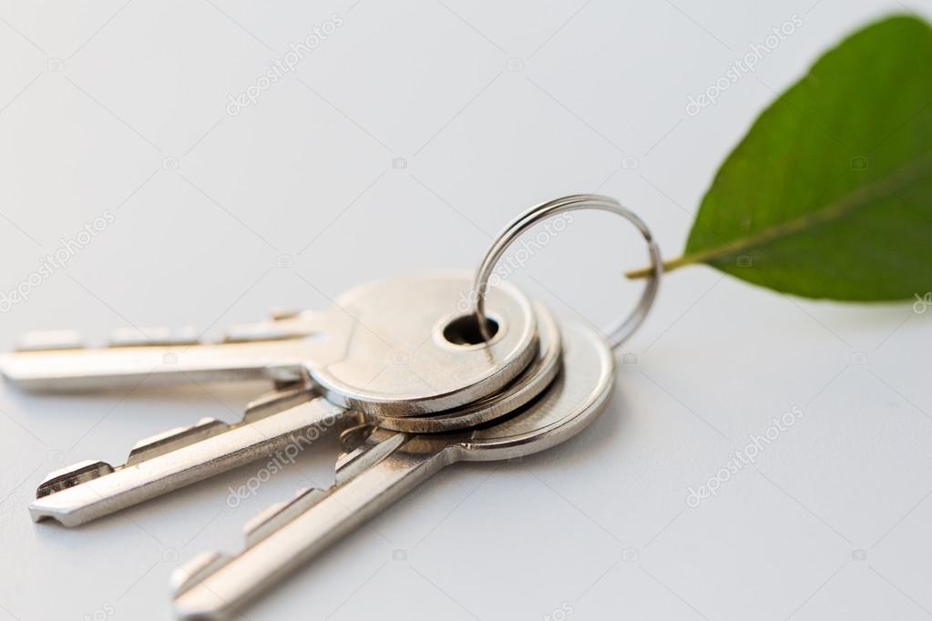 Close up of house keys and green leaf Stock Photo by ©Syda_Productions ...