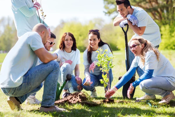 Tree planting Stock Photos, Royalty Free Tree planting Images ...