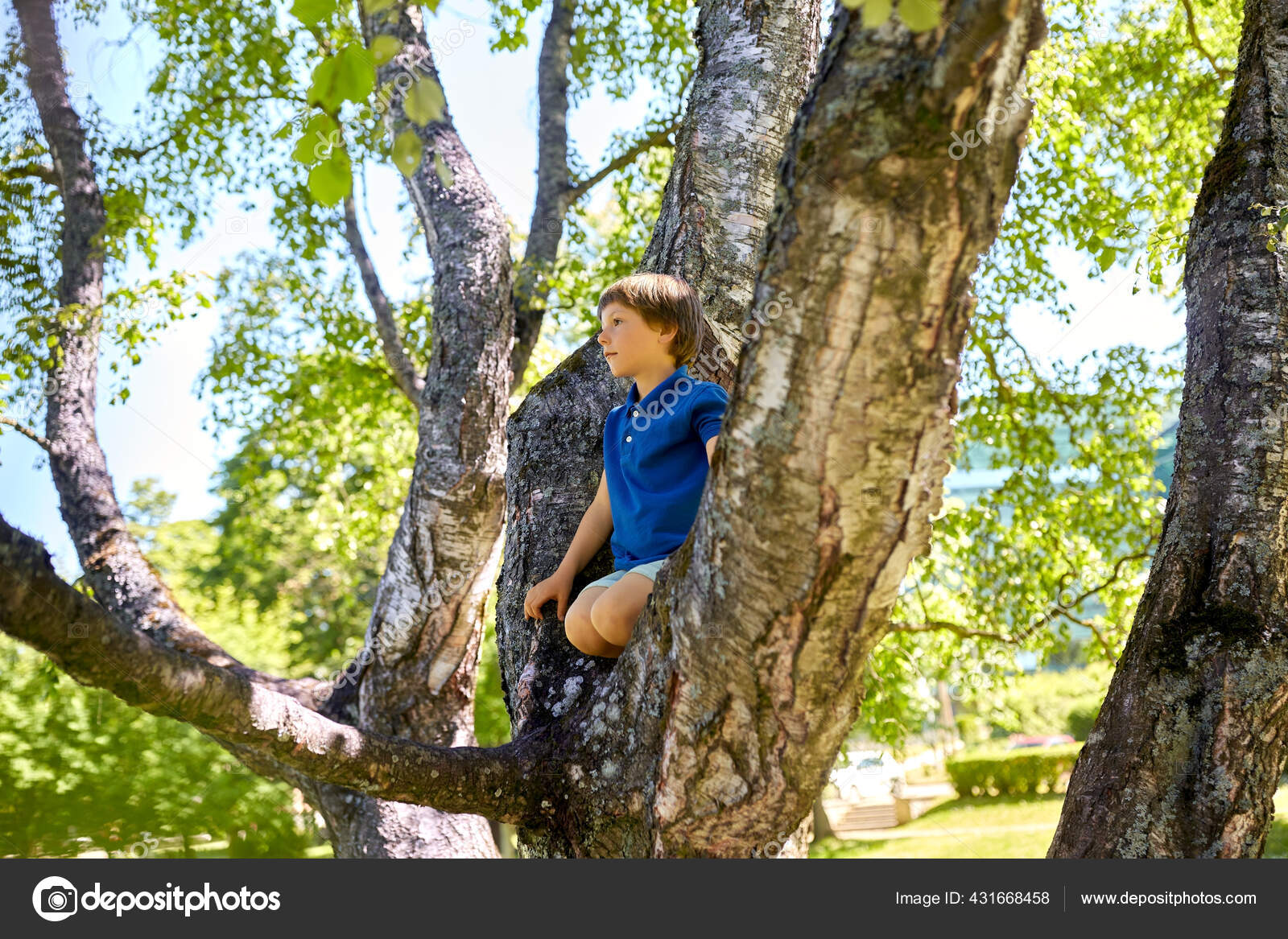 Happy little boy climbing tree at park — Stock Photo © Syda_Productions ...