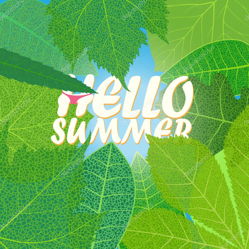 Green summer leaves Stock Vector Image by ©whitehoune #101878502